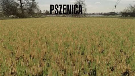 Stubble Texture Wheat Barley V1 0 0 0 FS25 FS22 Mod
