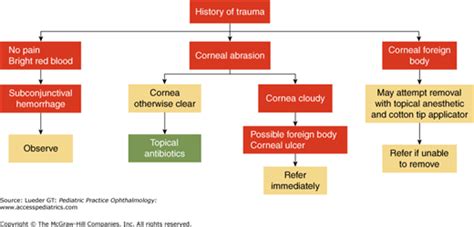 Abnormal Red Reflex Ento Key