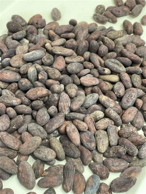 Chichibu Chocolate Factory On Twitter ベネズエラ産カカオ初挑戦‼️ カカオ70のチョコレート 試作