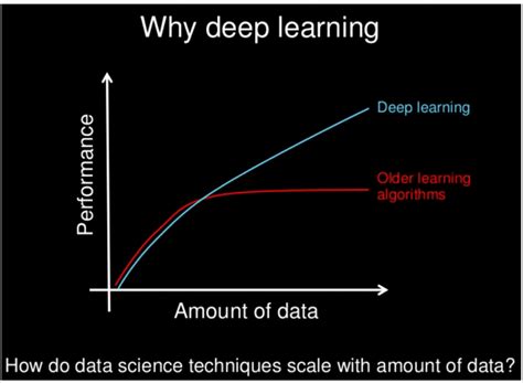 Top Deep Learning Algorithms In Machine Learning