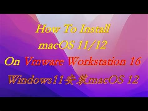 Vmware Workstation 16 安装 Macos11 Macos 12 Bigsur Monterey Macos Big