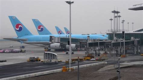大韓航空「ナッツ・リターン」事件の妹 会議でボトル投げ謝罪 Bbcニュース