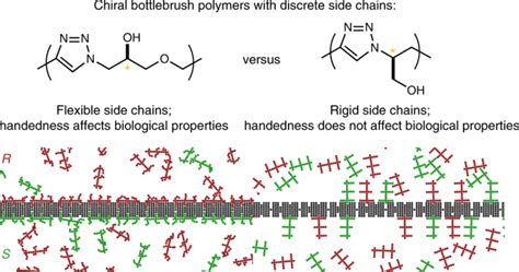 Bottlebrush Polymers With Flexible Enantiomeric Side Chains Display Differential Biological