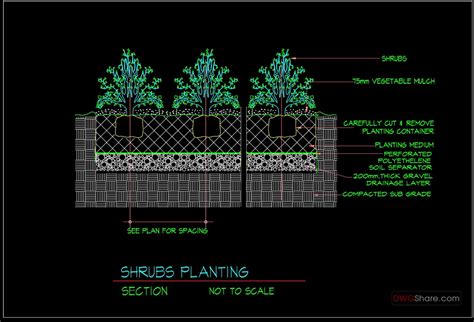 79 Autocad Drawing Of Shrubs Planting Details For Free Download