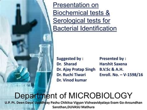Imvic Biochemical Test Ppt