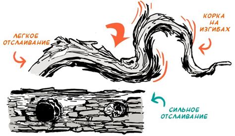 Как рисовать деревья Art Reference Poses Art Advice Drawings