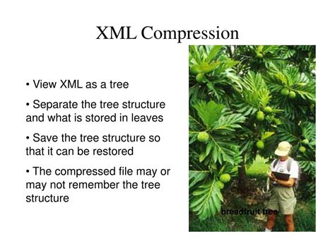 ppt xml compression powerpoint presentation free download id 3270913