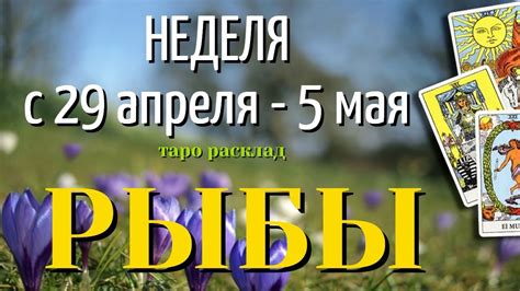 РЫБЫ 🌷🌷🌷 НЕДЕЛЯ с 29 АПРЕЛЯ 5 МАЯ 2024 года Таро Прогноз ГОРОСКОП