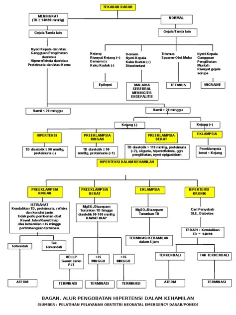 Algoritma Eklampsia Pdf Kesehatan Holistik