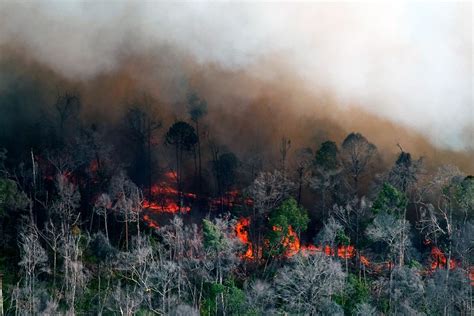 Bnpb Dampak Kebakaran Hutan Dan Lahan Di Riau Kian Serius