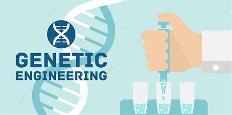 Genetic Engineering Vector Banner Illustration Evolution Genetic Discovery Vector Evolution