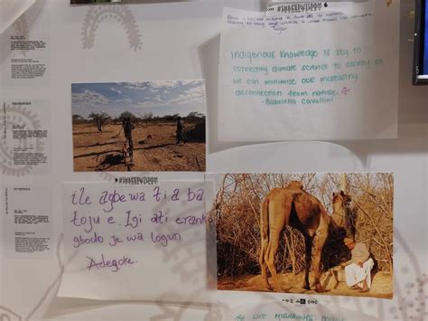 Inside COP The Way To Kunming Montreal Global Biodiversity Framework Global Change Ecology