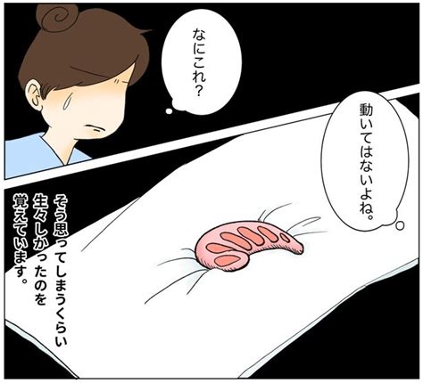 突然のガン宣告「軽い風邪と思っていたら…」主婦の闘病体験、前向きに描く【作者インタビュー】 298枚目 全410枚 D1335701 ダ