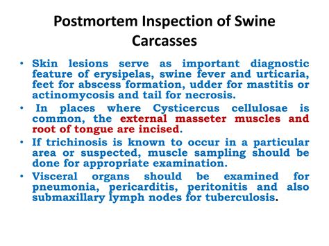 Post Mortem Inspection In Animals Pptx