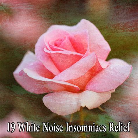 19 White Noise Insomniacs Relief Album By White Noise Relaxation