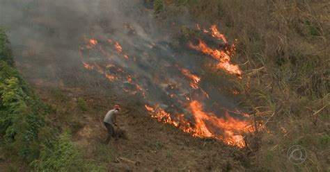 G1 Vídeo flagra dois homens ateando fogo em vegetação na Paraíba