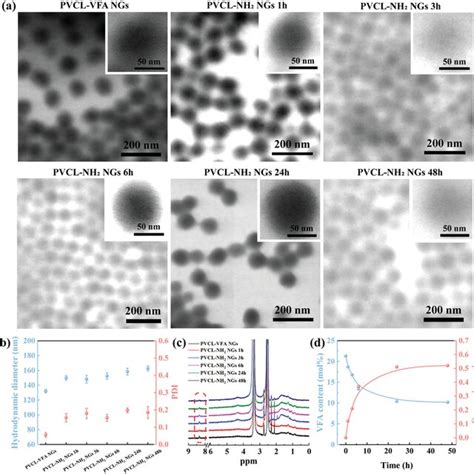 A Tem Images B Hydrodynamic Diameters And Pdi C ¹h Nmr Spectra In