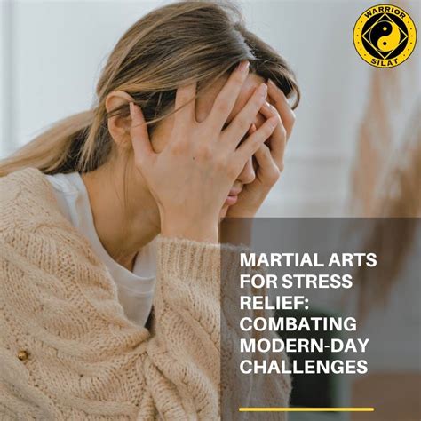 Martial Arts For Stress Relief Combating Modern Day Challenges