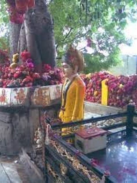 Plants Information Web Stories