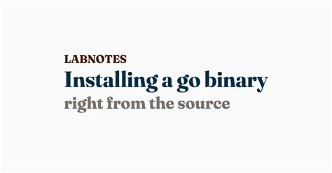 Installing A Go Binary Will Schenk