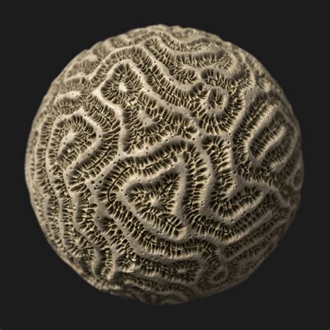 Artstation Dead Brain Coral Pbr Material 001 Game Assets