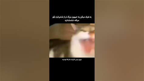 نه بابا من کاملا نرمالم ️🤣😂 Funny میم میمز Cat کلیپ Funniestmemes