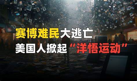 赛博难民涌入中文互联网，美国人开眼看世界了 麻薯波比呀 麻薯波比呀 哔哩哔哩视频