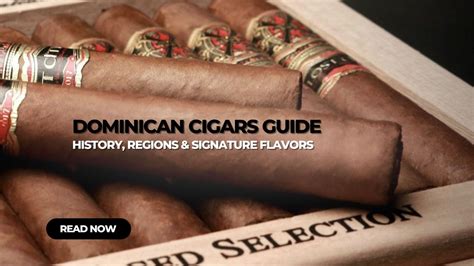 Dominican Cigars History Regions And Best Brands