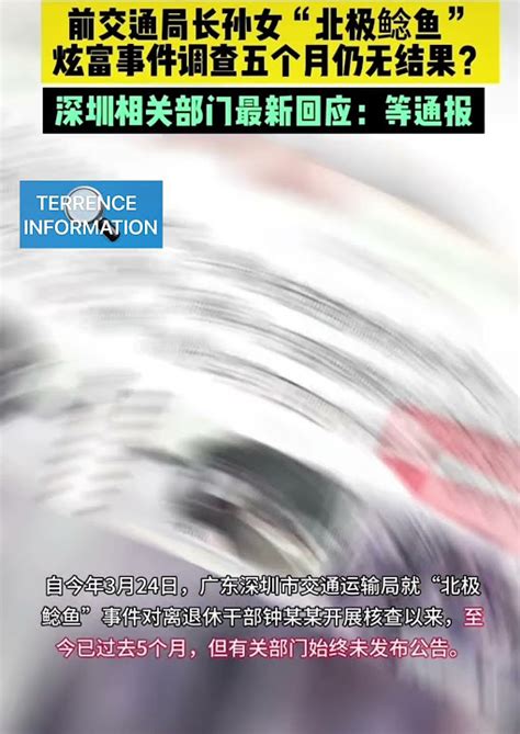 前交通局长孙女 “北极鲶鱼”炫富事件调查五个月仍无结果？深圳相关部门最新回应：等通报🇨🇳 Youtube