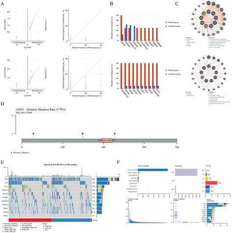 Genomic Copy Number Variation Cnv Events And Somatic Mutation Download Scientific Diagram