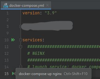 Error Using Intellij S Docker Services When Using Docker Daemon In Wsl