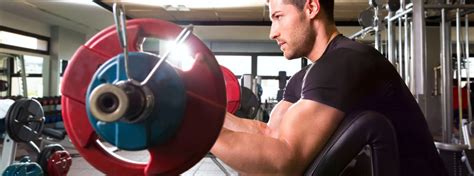 Cómo hacer el curl de bíceps concentrado MYPROTEIN