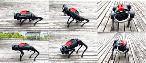 Palo Learning Posture Aware Locomotion For Quadruped Robots