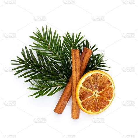 白色背景上的松果和冷杉树枝。