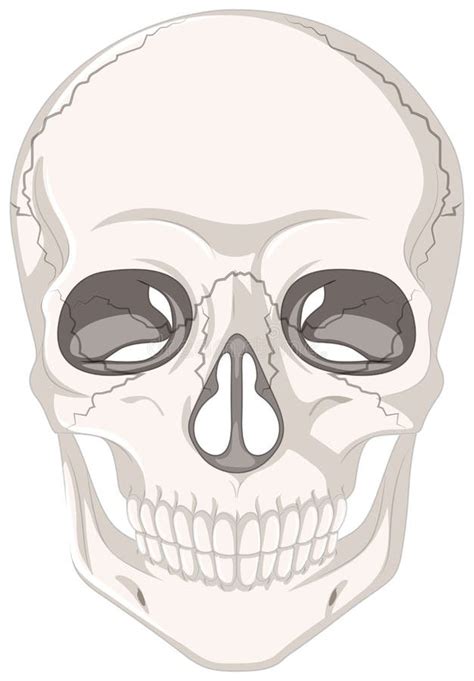 Cracked Skull And Crossed Bones Icon The Concept Of Warning Of Mortal