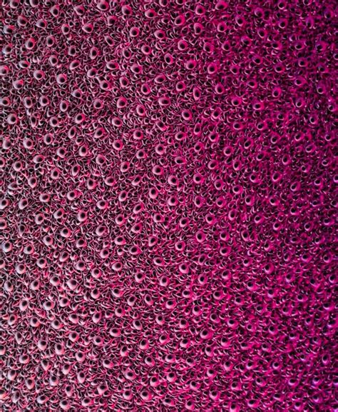 Hong Yi Zhuang “we Might Not All Speak The Same Language But We Can
