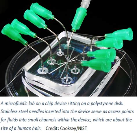 Commercialising Lab On A Chip Technology News