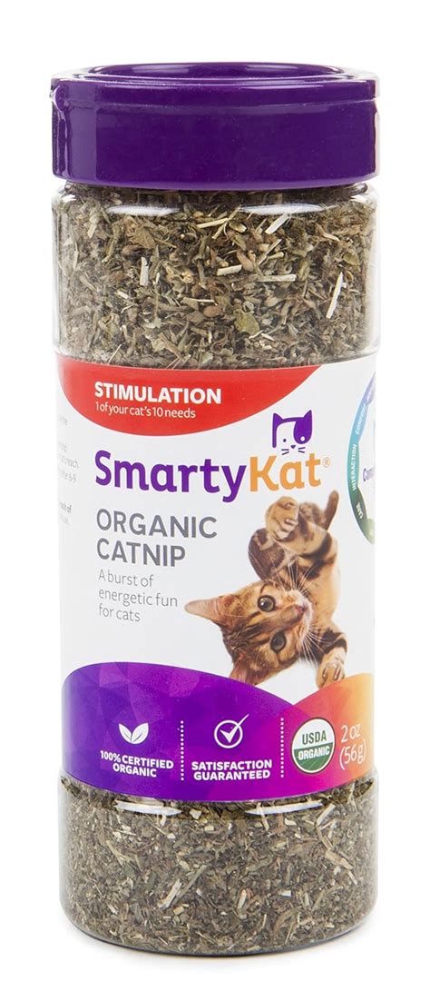 Best Catnip For Cats In 2025 How To Make Your Feline Happy And Adorable