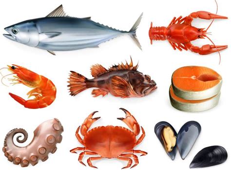 لوگوی غذاهای دریایی ماهی خرچنگ خرچنگ صدف نماد وکتور اختاپوس سه بعدی سبک