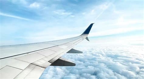 A 2024 Guide To Mobile Passport Control Next Vacay