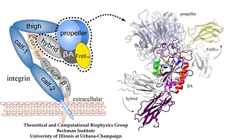 Highlights Of Our Work