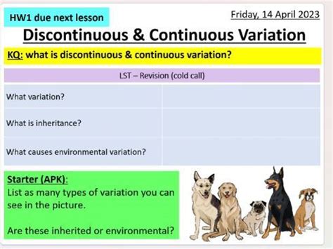 KS3 Discontinuous Continuous Variation Year 9 Teaching Resources