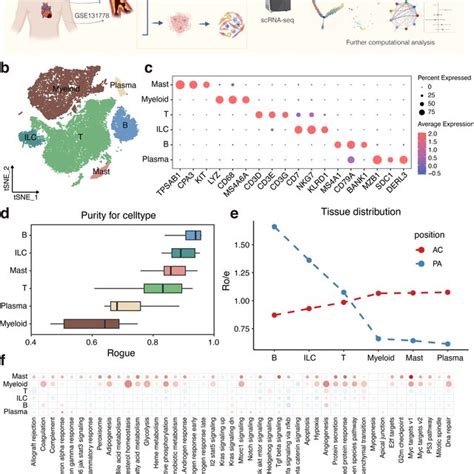 Dissection Of The Immune Landscape In Atherosclerosis With Scrna Seq A