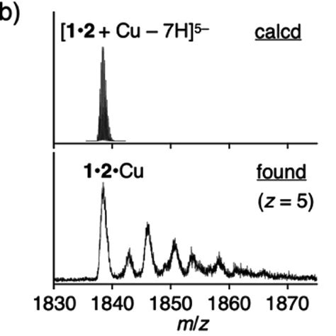 A Melting Curves Of The Dna Duplex 1·2 Containing An Imoc Imoc Base Download Scientific