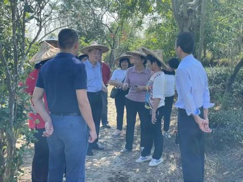 会员动态丨光照人茶业接待福建省闽南文化研究会考察团调研 中国福建三农网