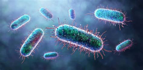 As A Science Microbiology Focuses On The Study Of Microorganisms Such