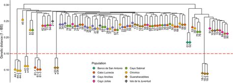 Hierarchical Cluster Dendrogram Based On Pairwise Identity By State