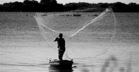 Anekdoot Ainult üks Hull Ei Püüa Kala