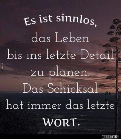 Es Ist Sinnlos Das Leben Bis Ins Letzte Detail Zu Planen Das Schicksal Hat Immer DEBESTE De