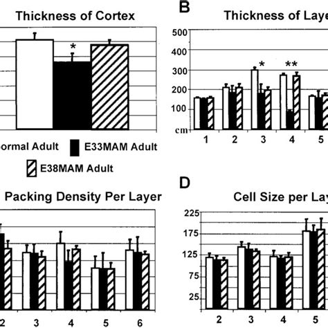 Histograms Comparing Specific Features Of Cortical Architecture In